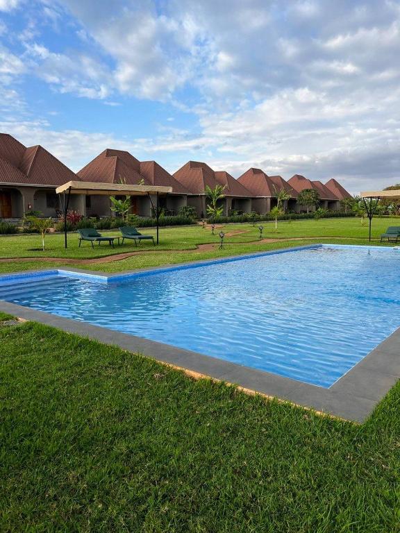 Proyectos Ecológicos Tanzania: 🌿 Volunteer in Manya – Farm, Nature...