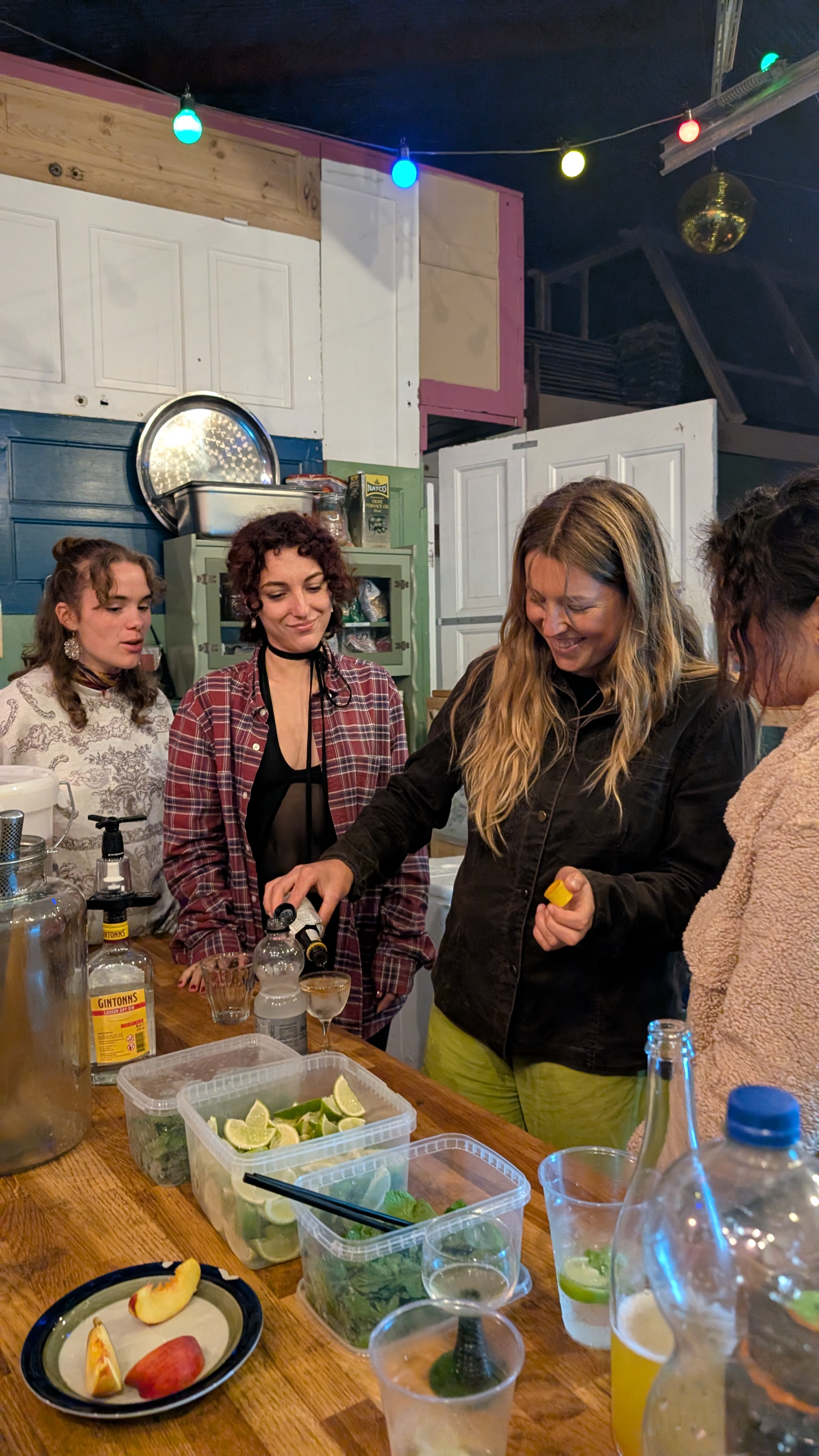 Social Impact in Denmark: Volunteer in a Cultural Community by the...