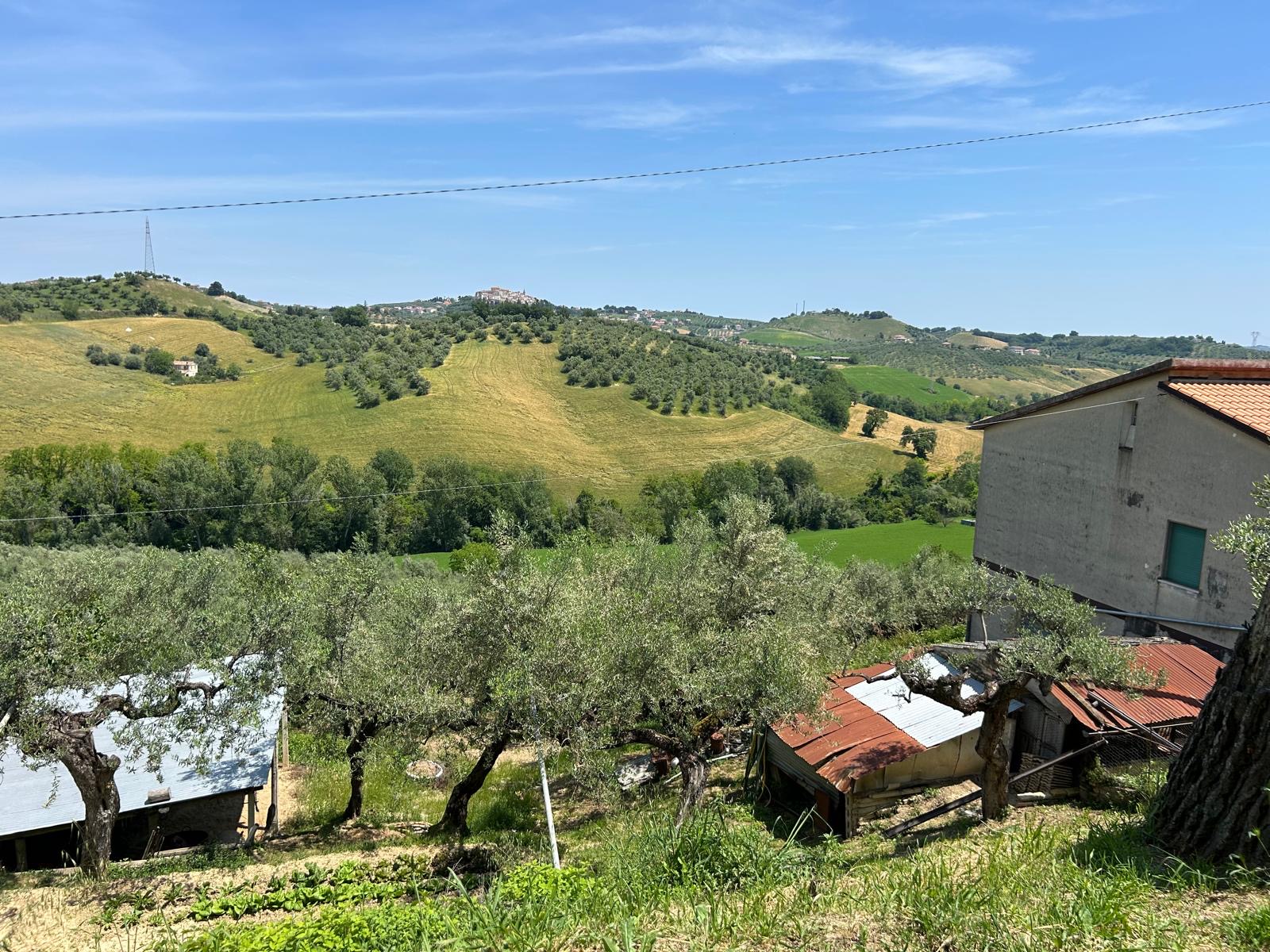 Eco Program in Italy: Sustainable style of living and experience i...