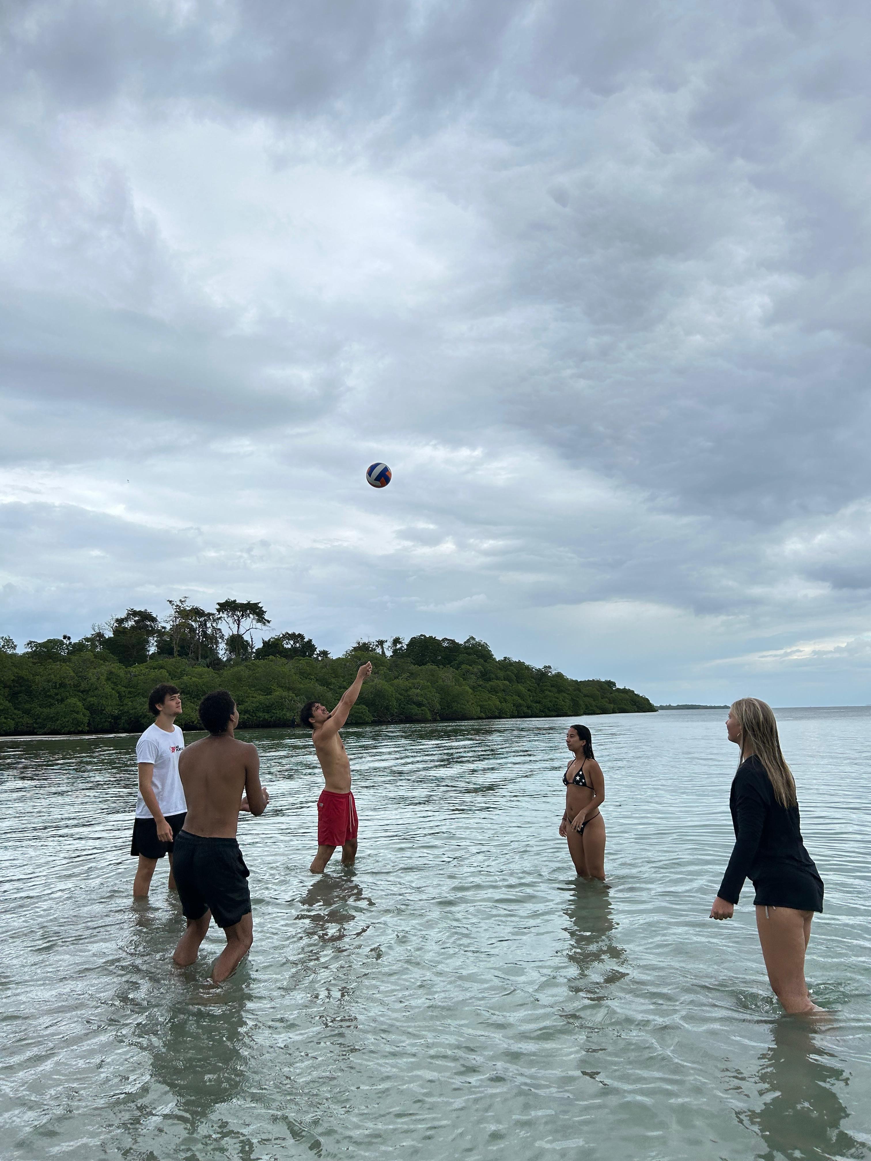 Work exchange in Panama: Help in the Caribbean Hostel near the Pau...