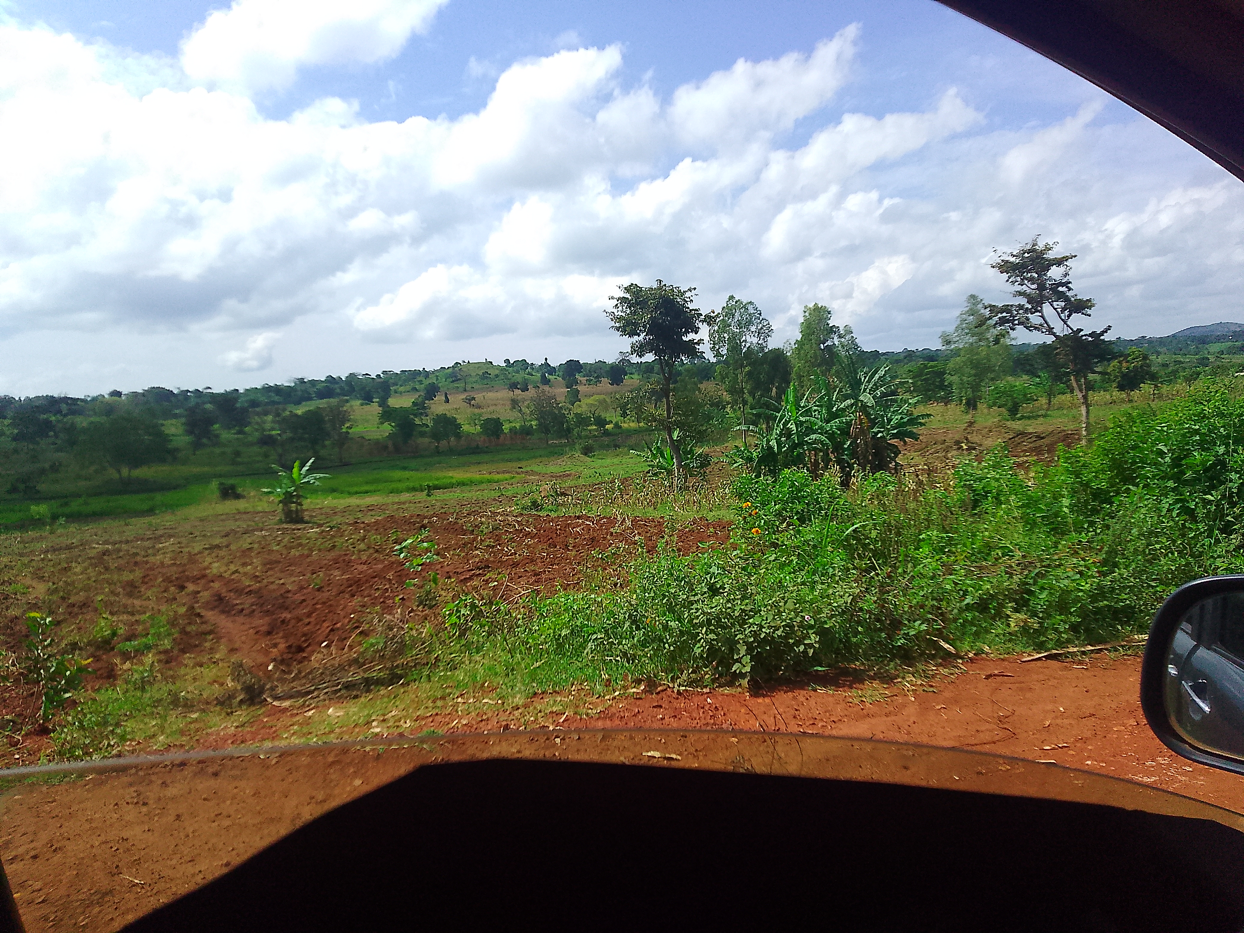 Eco Program in Uganda: All-Round Community & Farm Volunteer🌱🏡🛠️