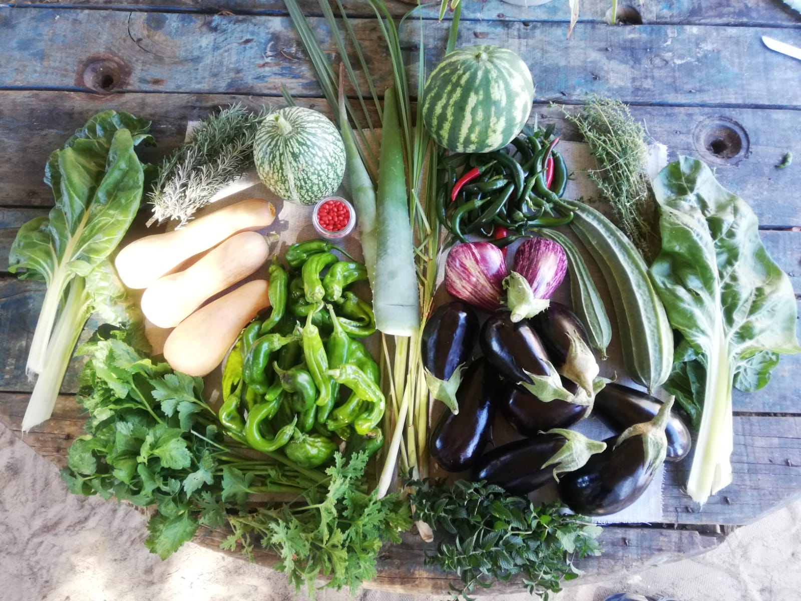 Work exchange in Spain: Kitchen Guardian (Vegan Kitchen) – Join Ou...