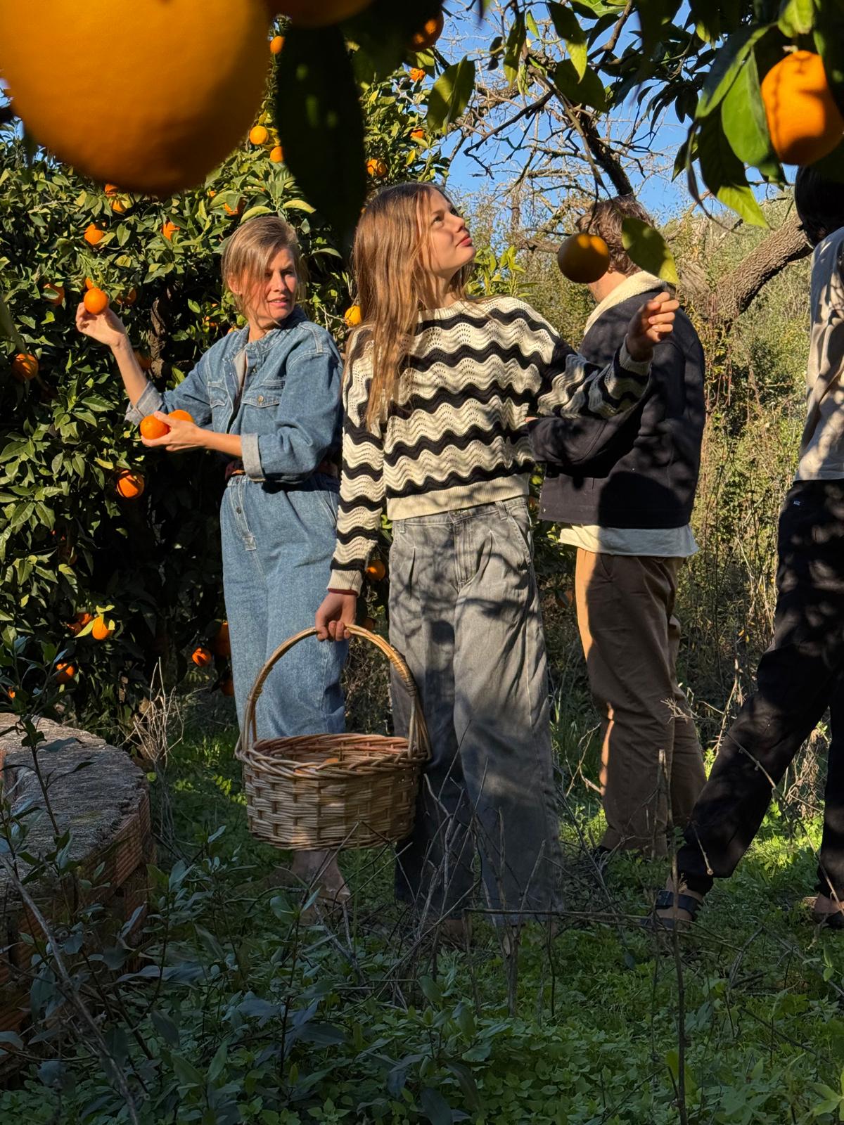 Eco Program in Spain: Mission impossible ;-) Help us get organised...