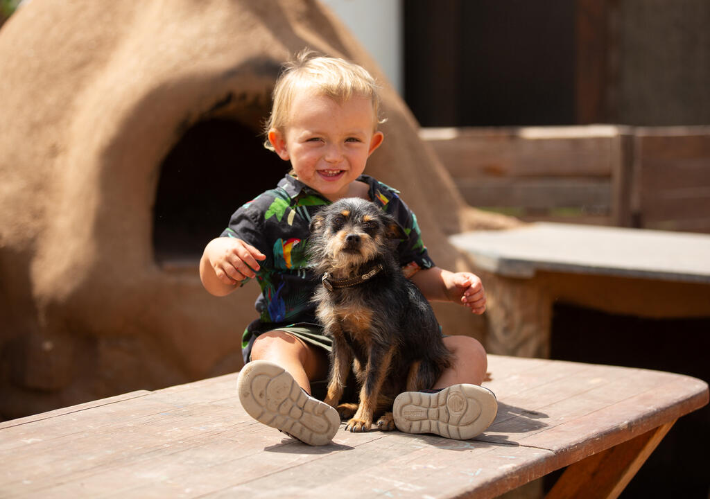 Eco Program in Spain: Childminder / summer school